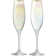 LSA International Sorbet 225ml Glass Flute | Wayfair.co.uk
